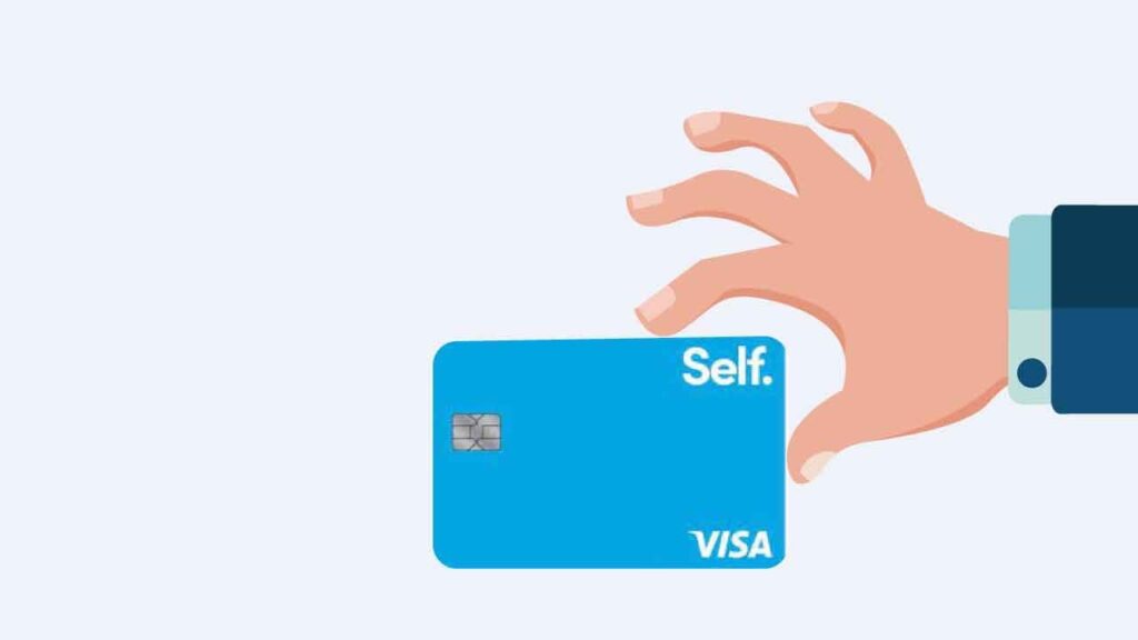 Self Visa Secured - How To Apply - OpenZed